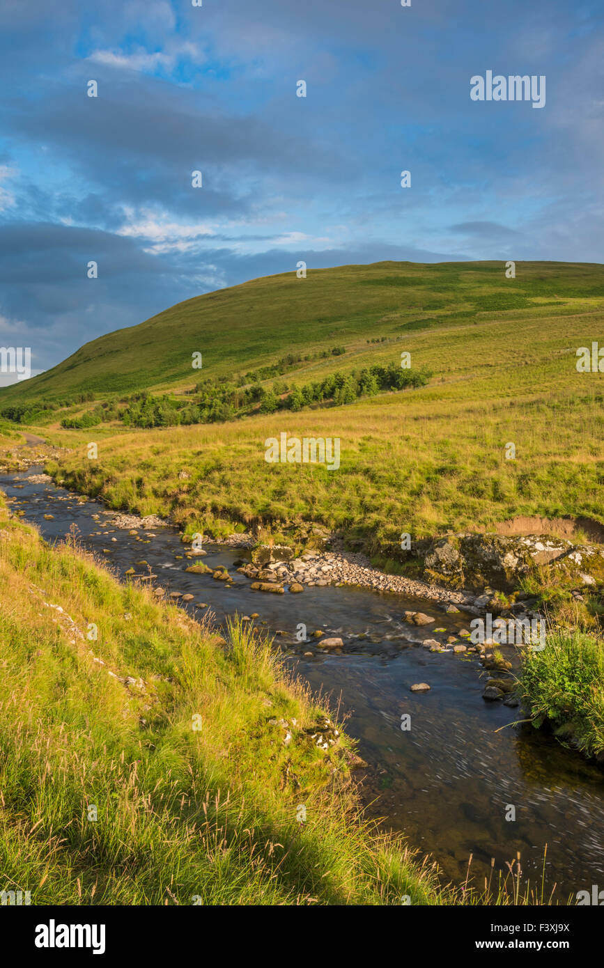 View cheviots hi-res stock photography and images - Alamy