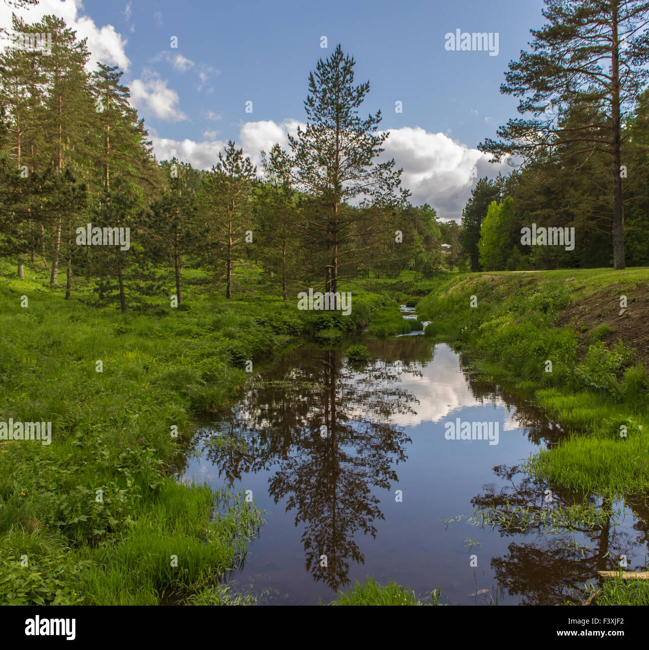 country, countryside, course, environment, evergreen, exterior ...