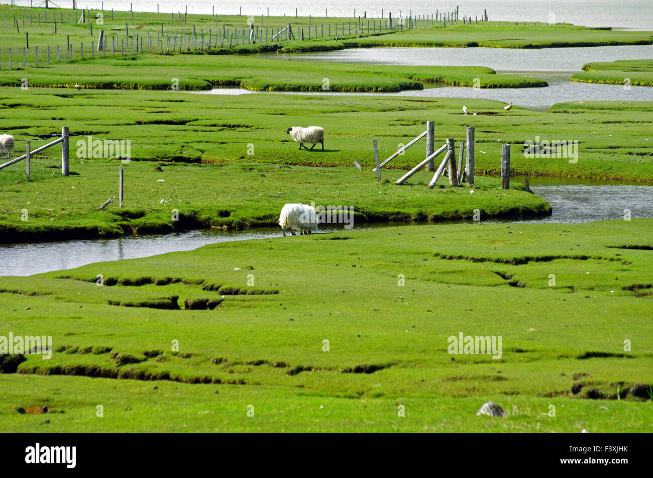 Tidal scenery hi-res stock photography and images - Alamy