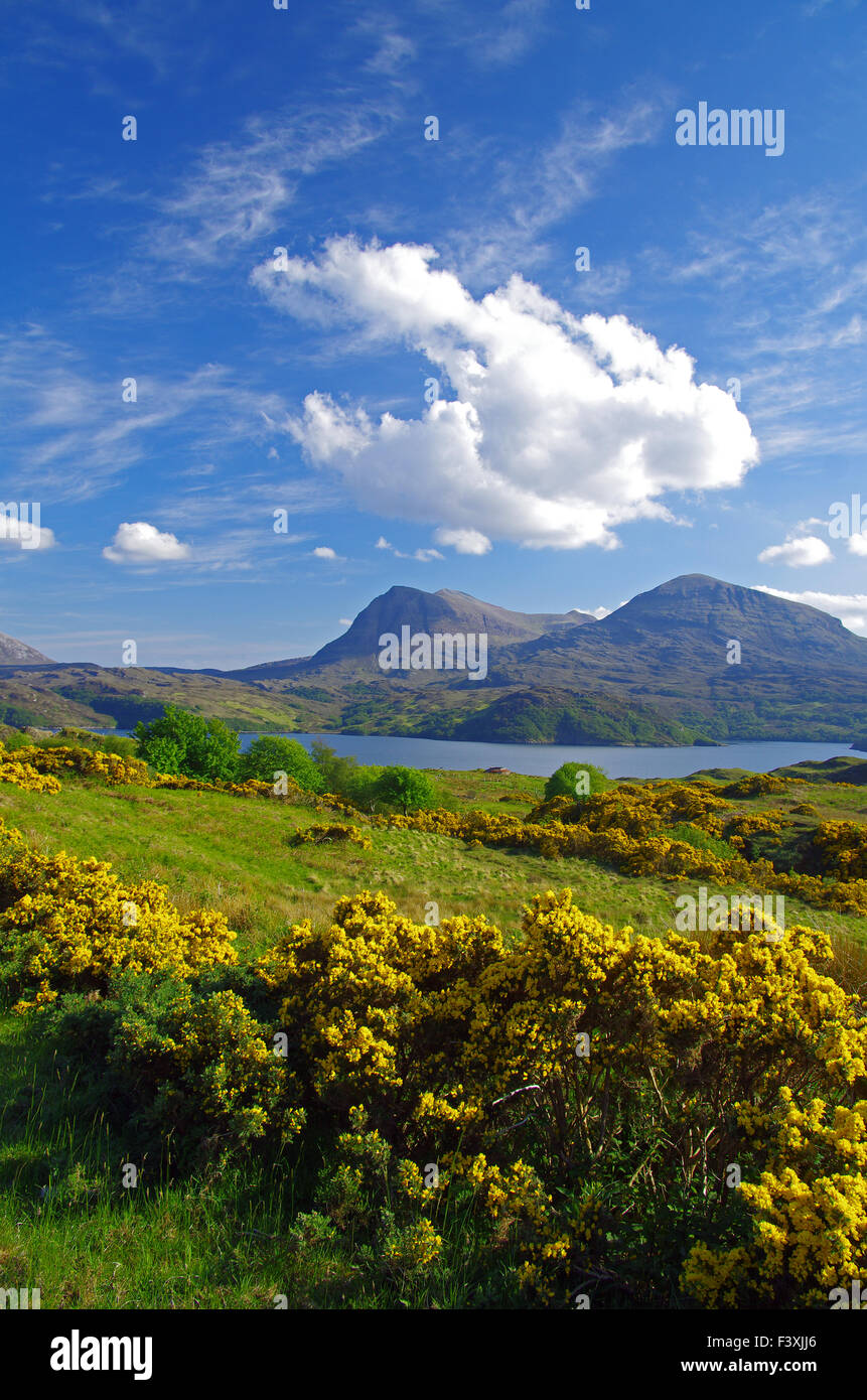 Springtime in Scotland Stock Photo - Alamy