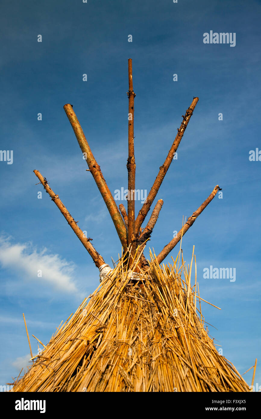 Straw thatched hi-res stock photography and images - Alamy