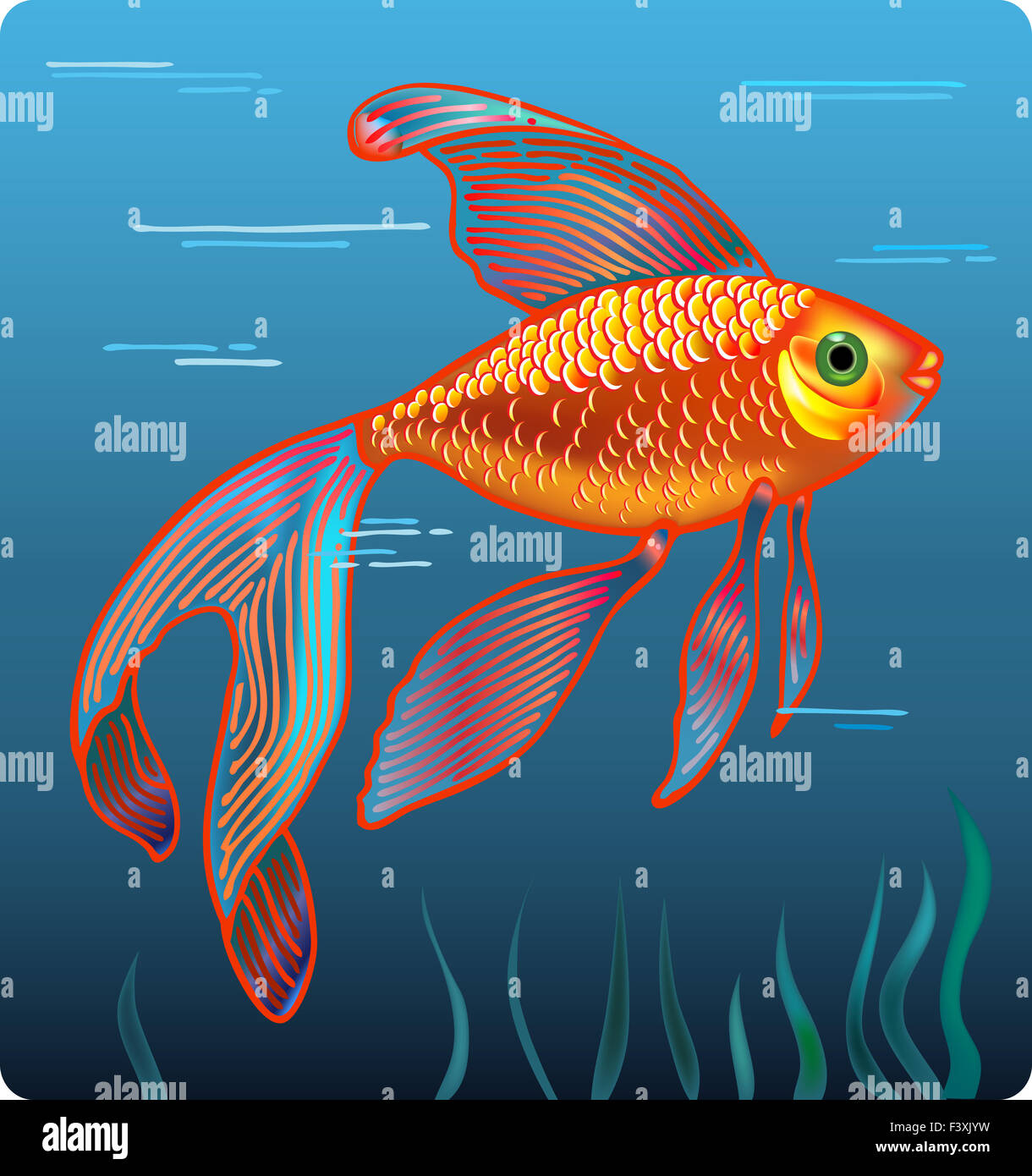 Golden fish isolated on whater background Stock Photo - Alamy