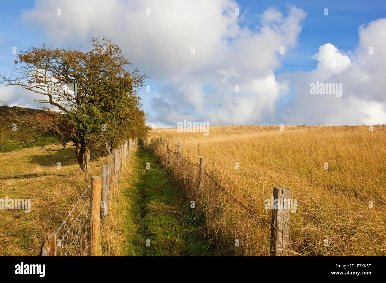 Fenced in footpath hi-res stock photography and images - Alamy