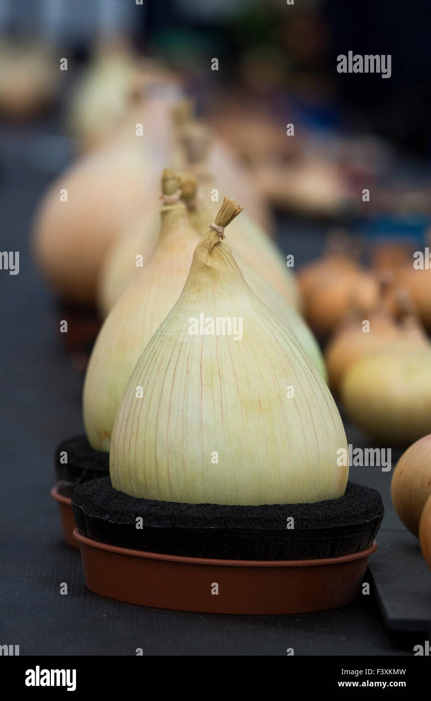 Produce show hi-res stock photography and images - Alamy