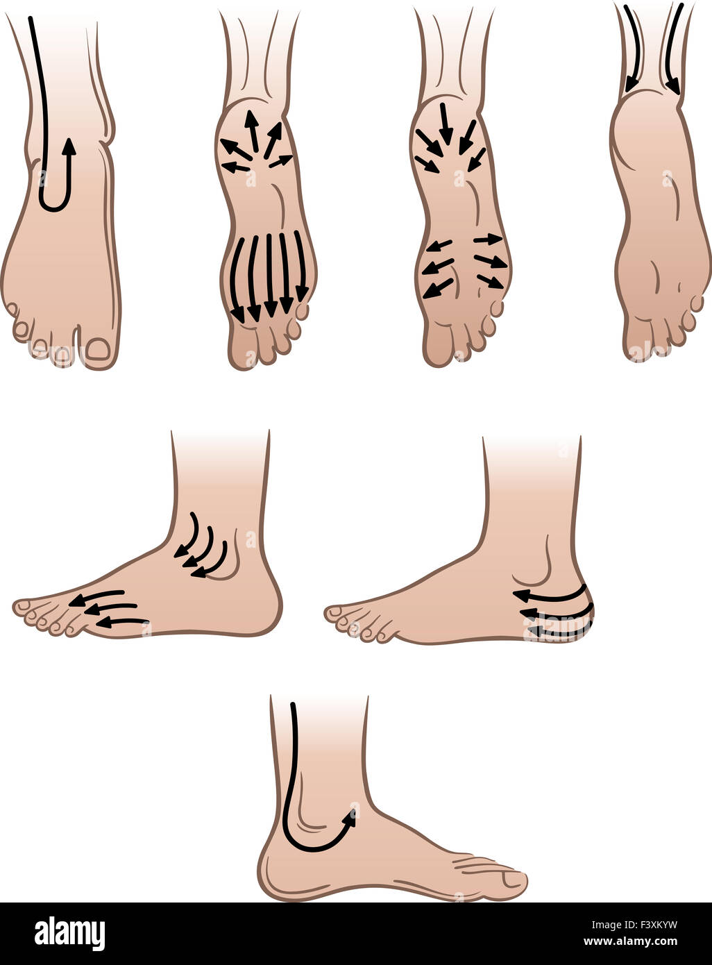 Closeup man feet with massaging lines Stock Photo - Alamy