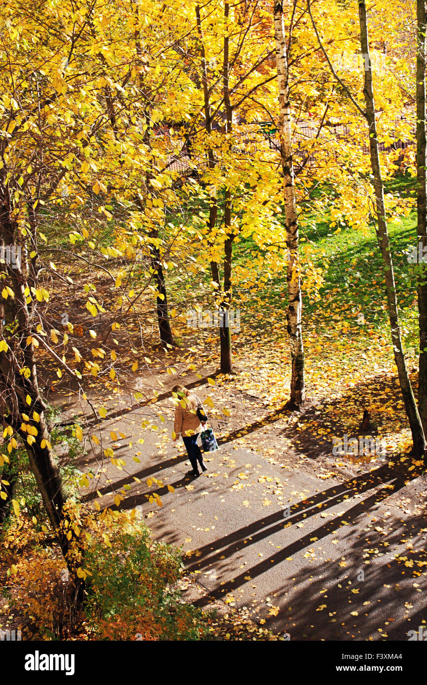 Golden fall hi-res stock photography and images - Alamy