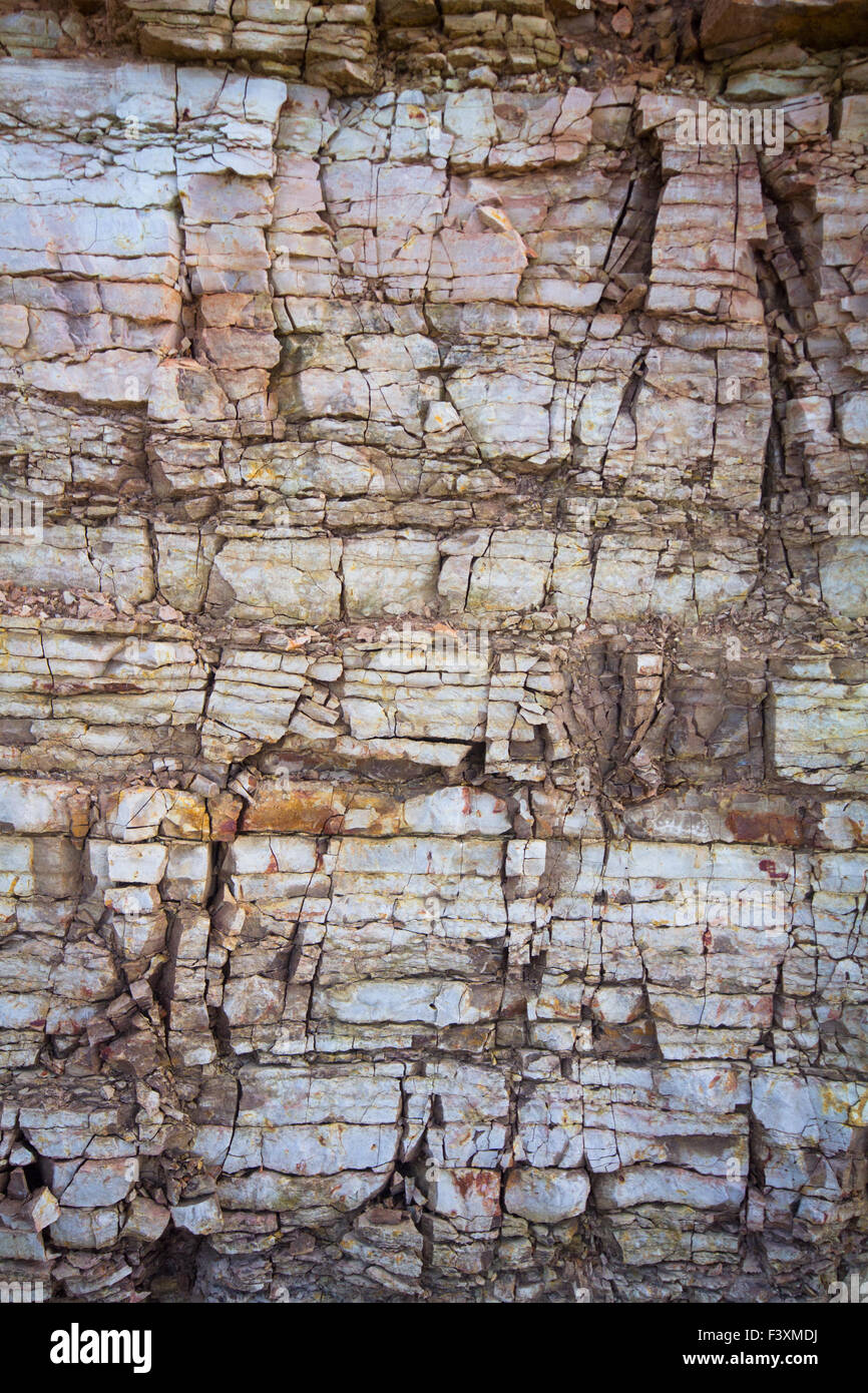 Devonian stone hi-res stock photography and images - Alamy