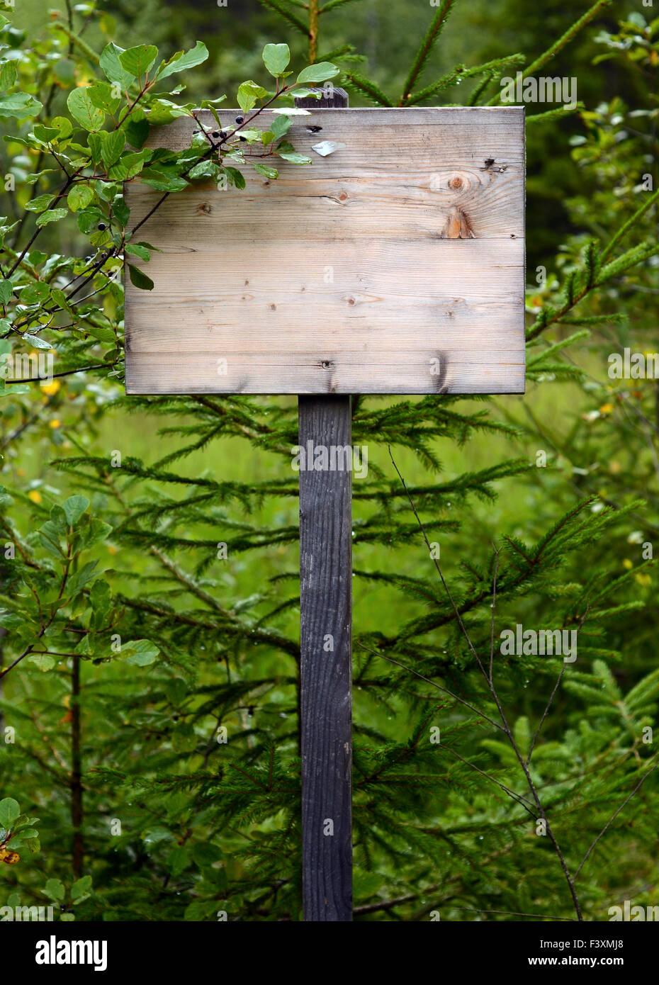 Blank Wooden Sign Stock Photo - Alamy