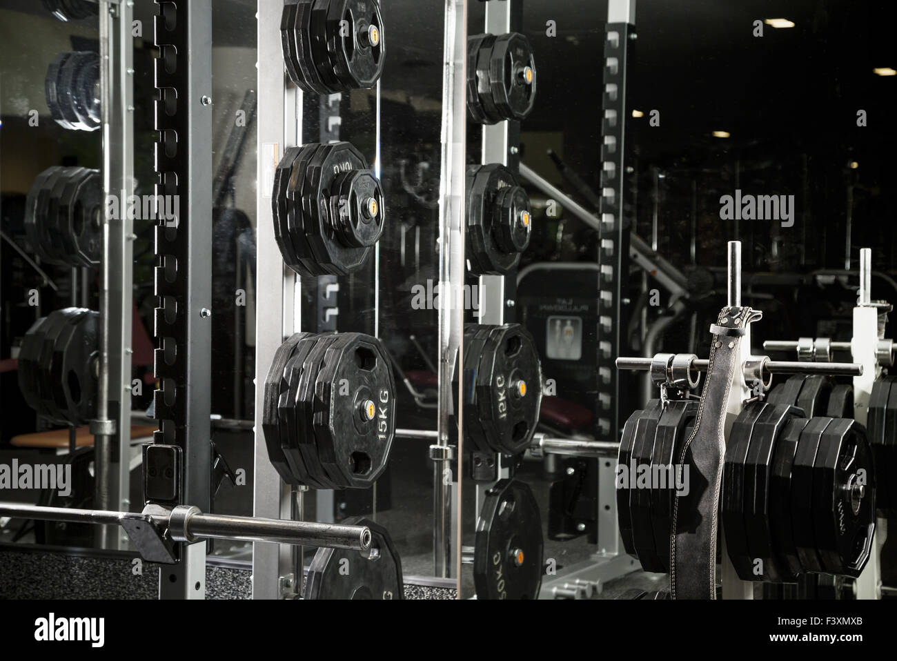 Gym system hi-res stock photography and images - Alamy