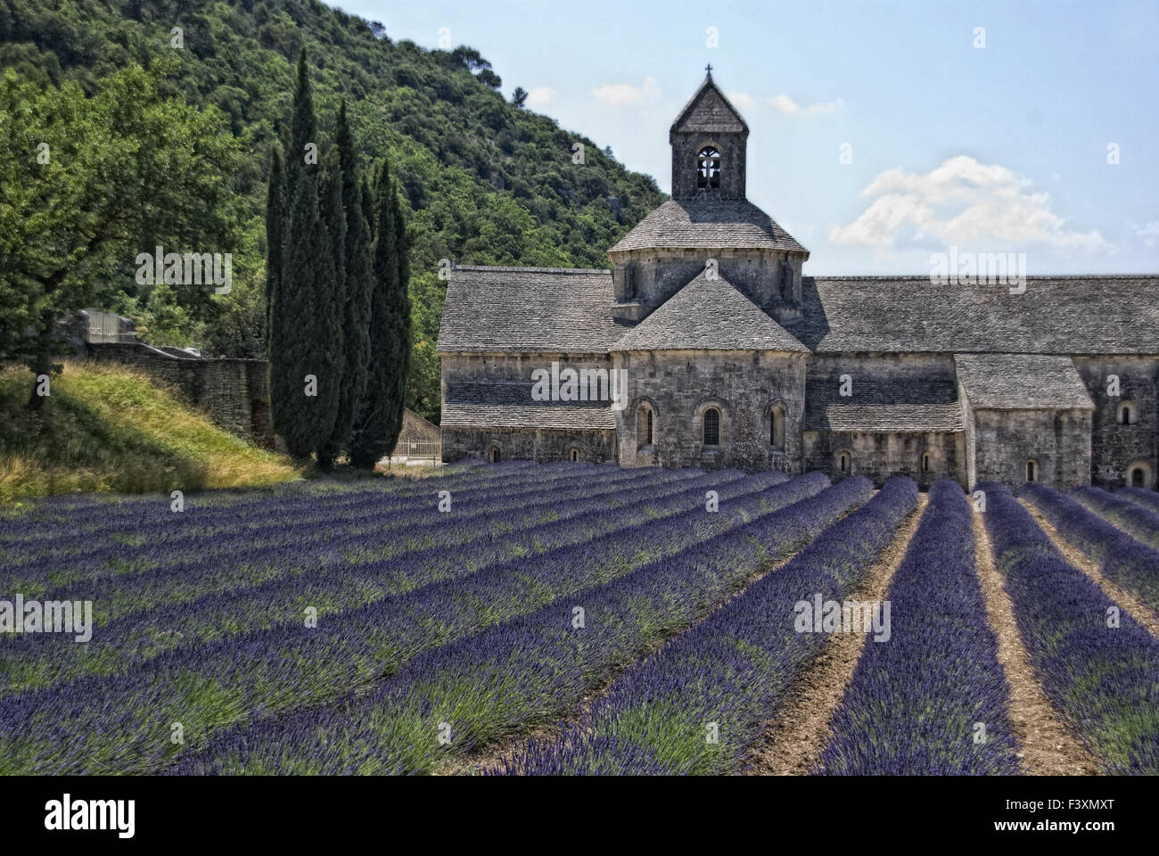 Abbey senanque abtei senanque hi-res stock photography and images - Alamy