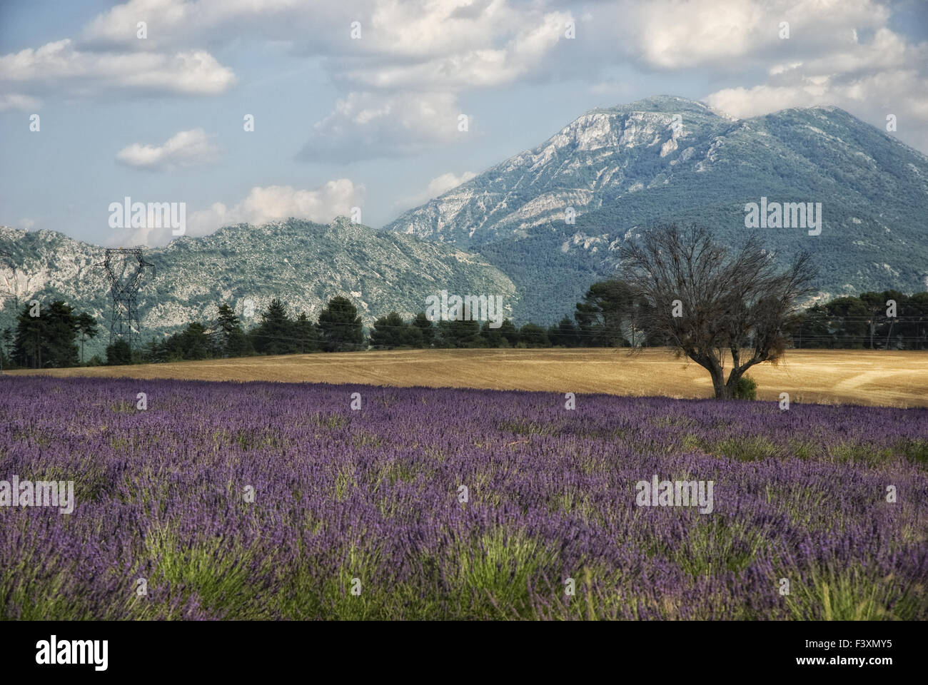 Provence landschaft hi-res stock photography and images - Alamy