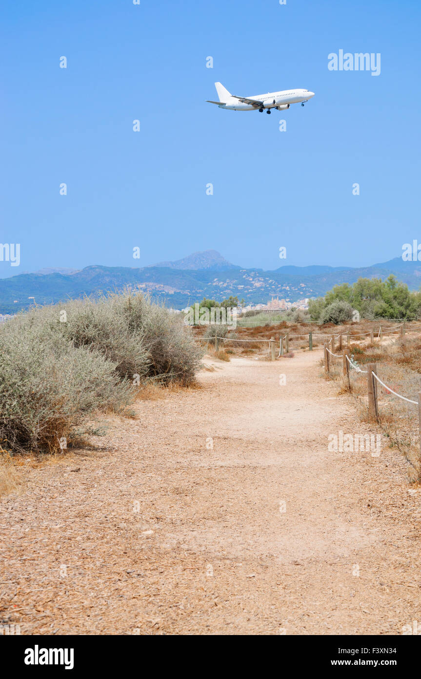 Jetliner landing in Palma Stock Photo - Alamy