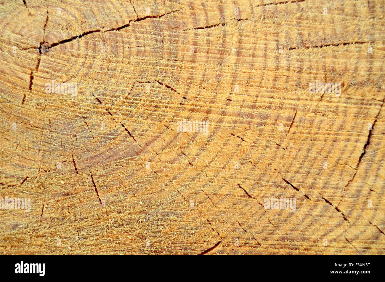 Freshly Cut Wood Background Stock Photo - Alamy