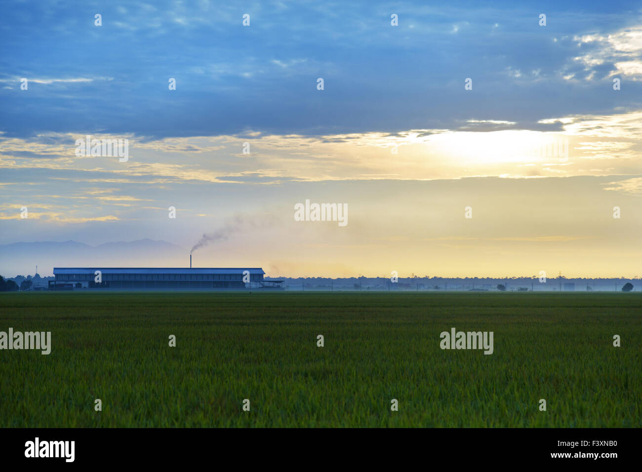 Rice processing Factory Stock Photo - Alamy