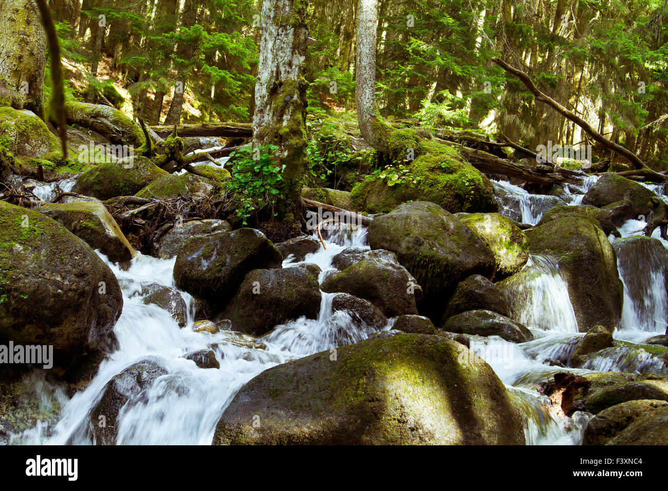 Pure mountain stream with drinking water Stock Photo - Alamy