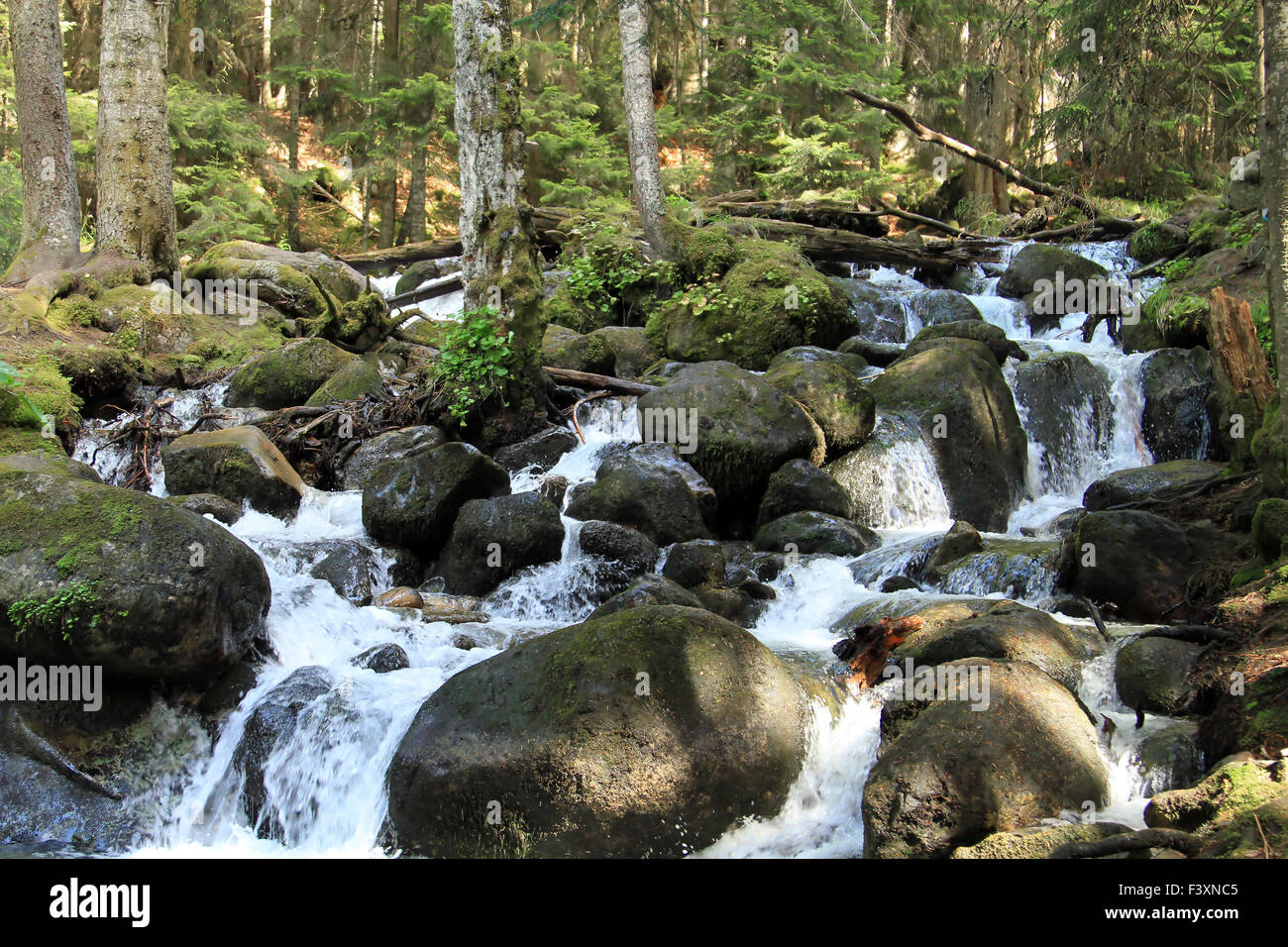 Pure spring water hi-res stock photography and images - Alamy