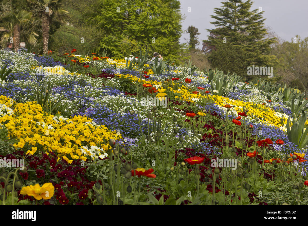 Landwirtschaft lowenzahn hi-res stock photography and images - Alamy