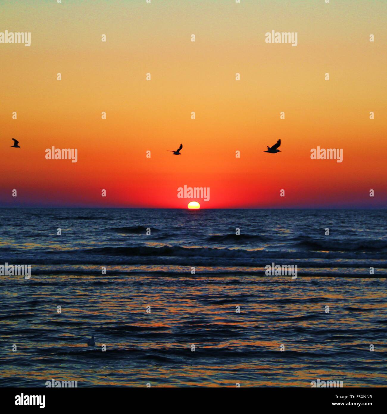 exceptionally beautiful sunrise Stock Photo - Alamy
