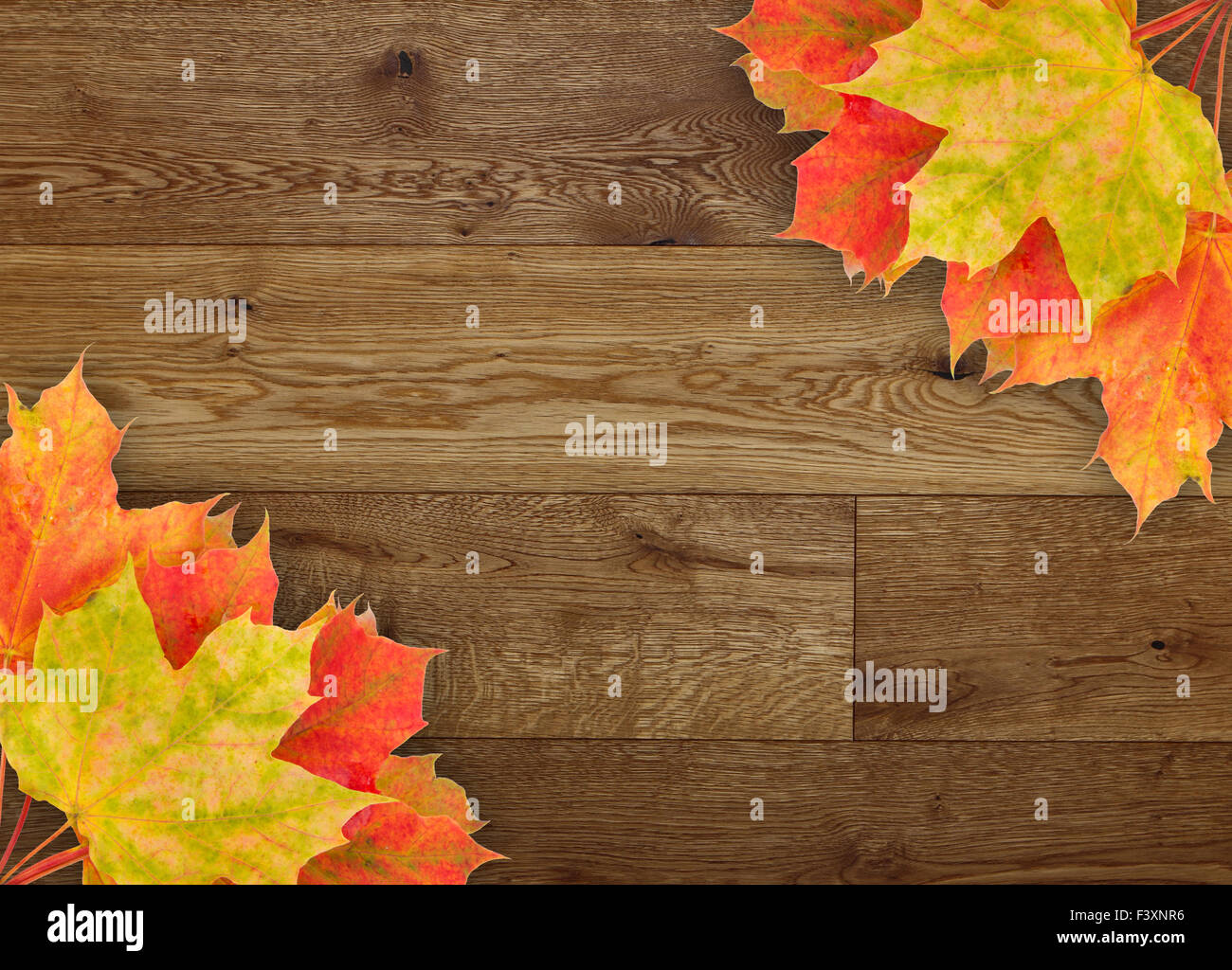 Autumn leaves with wooden background Stock Photo - Alamy