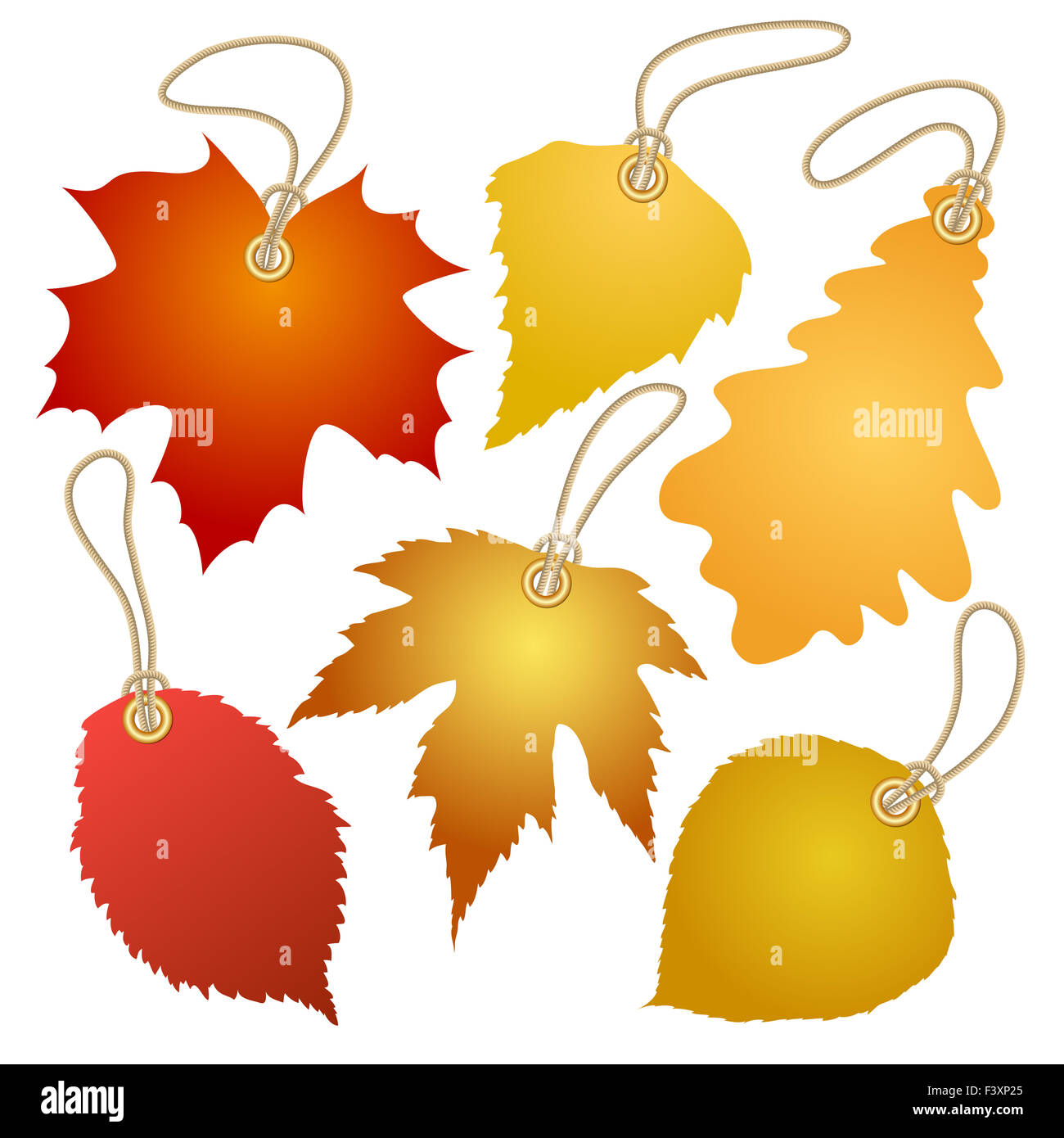 Hanging vector tags with autumn leaves Stock Photo - Alamy
