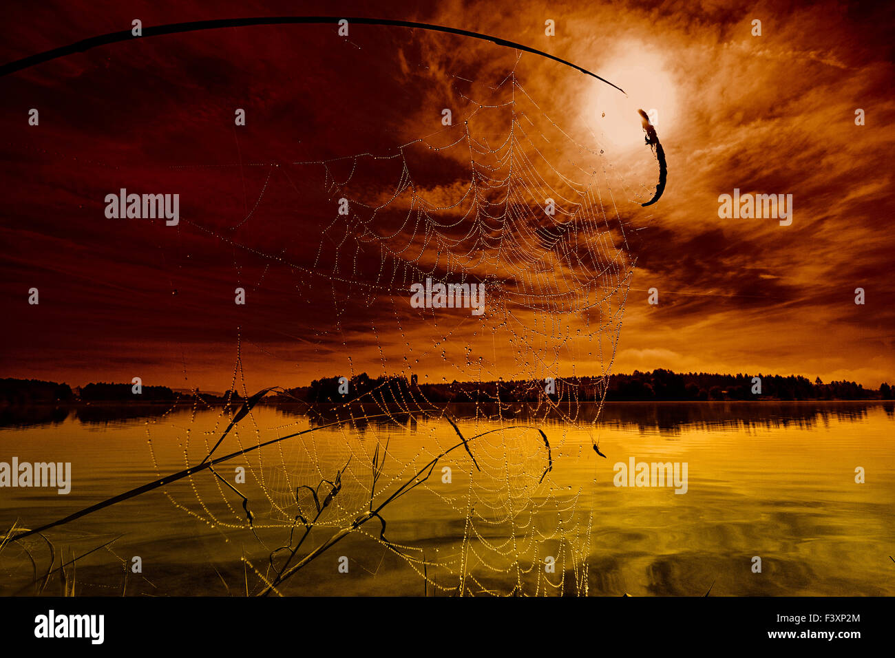 Morning red hi-res stock photography and images - Alamy