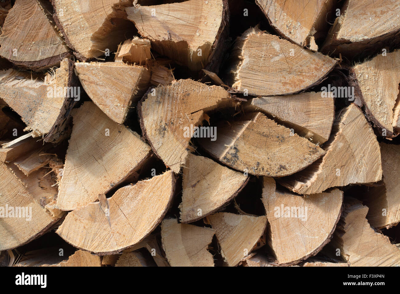 Group of objects chopped timber lumber industry hi-res stock ...