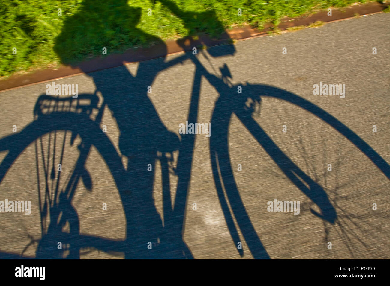 Shadow tour hi-res stock photography and images - Alamy