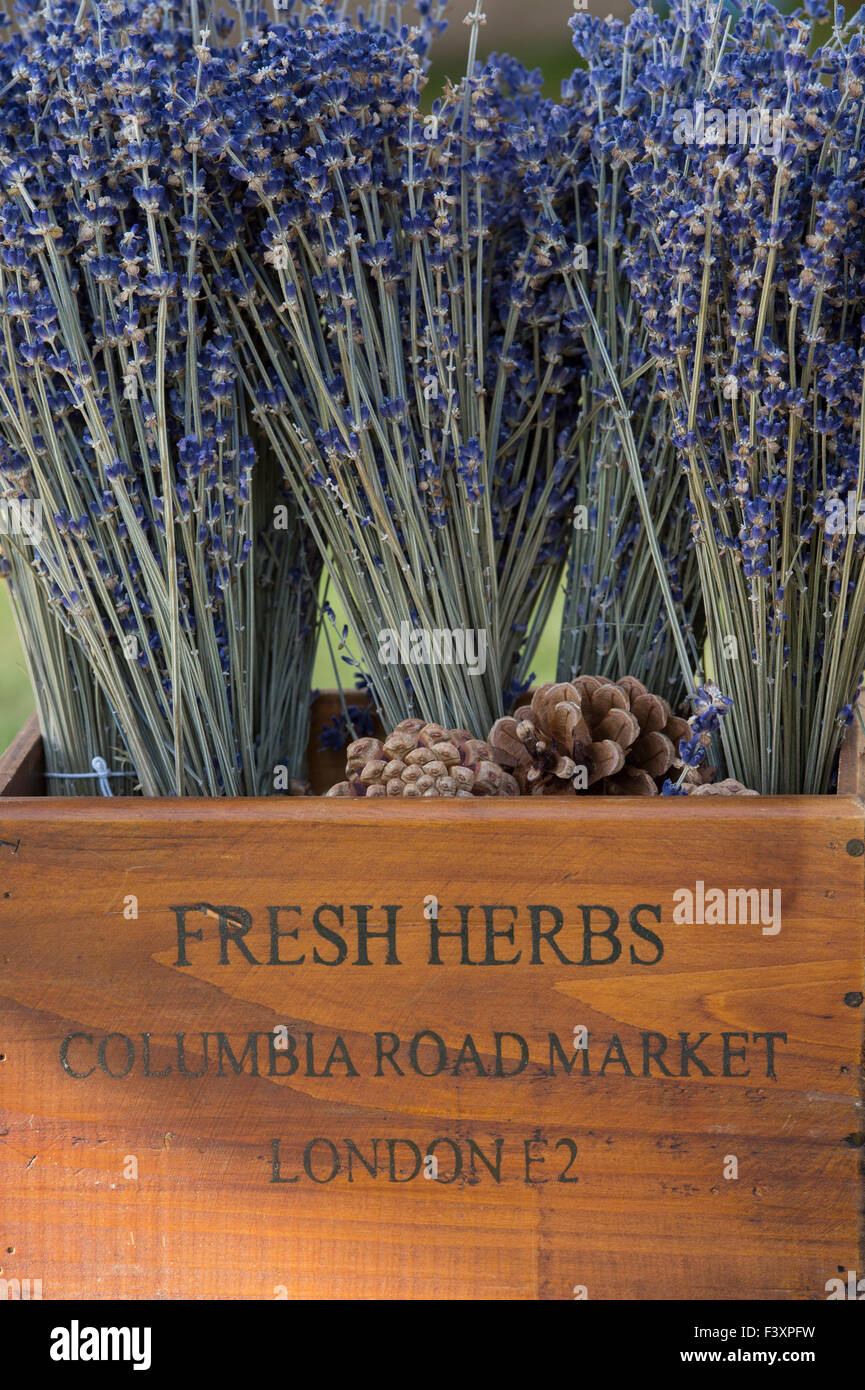 Garden box and lavender hi-res stock photography and images - Alamy