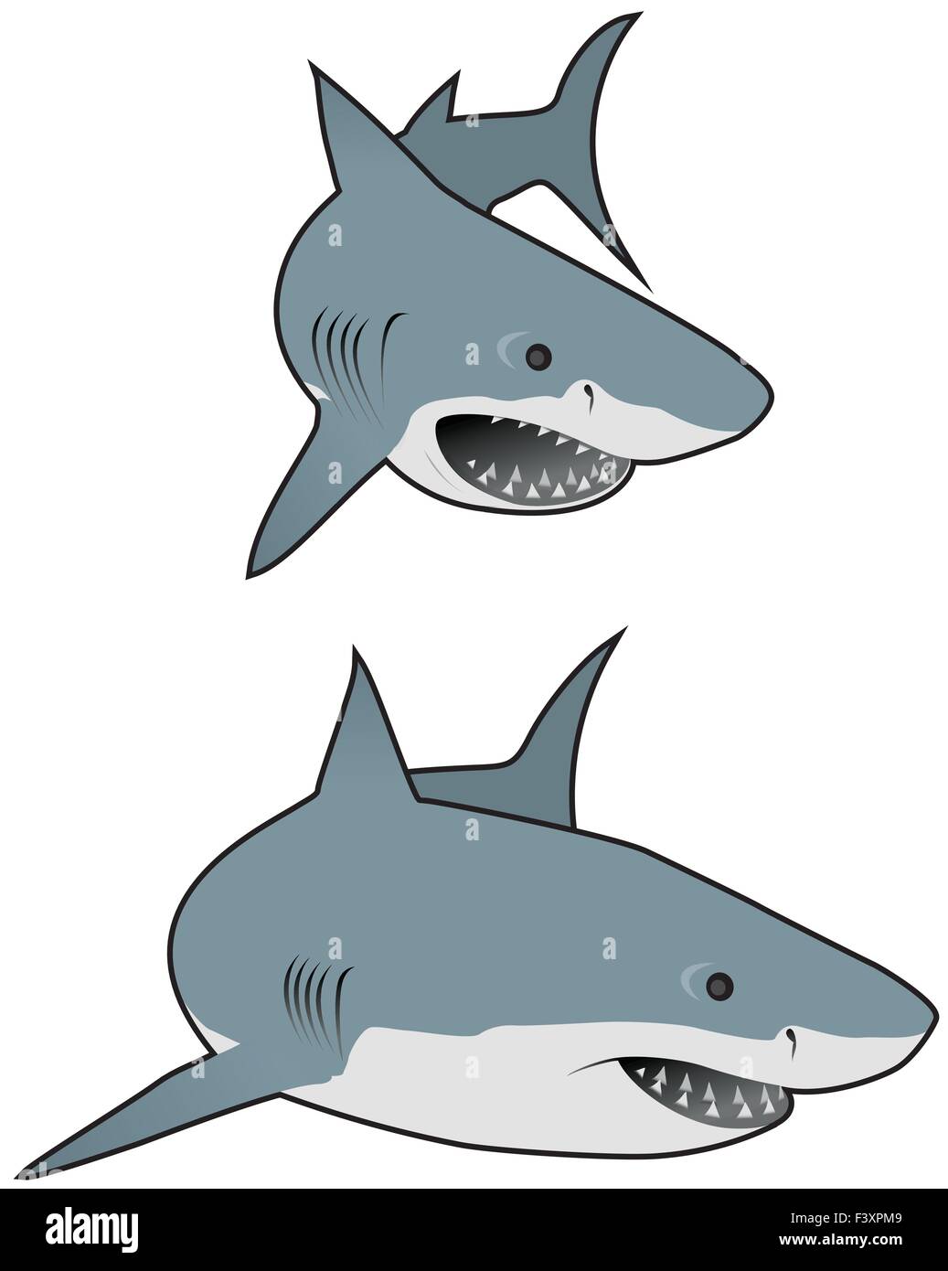 Great white shark Stock Vector Images - Alamy