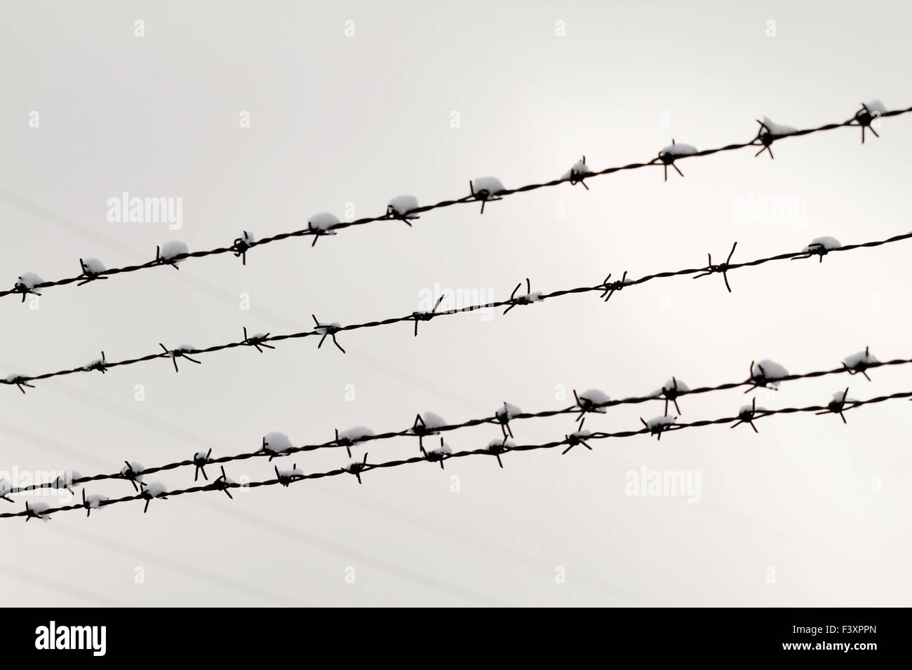 Barbed wire on gray background Stock Photo - Alamy