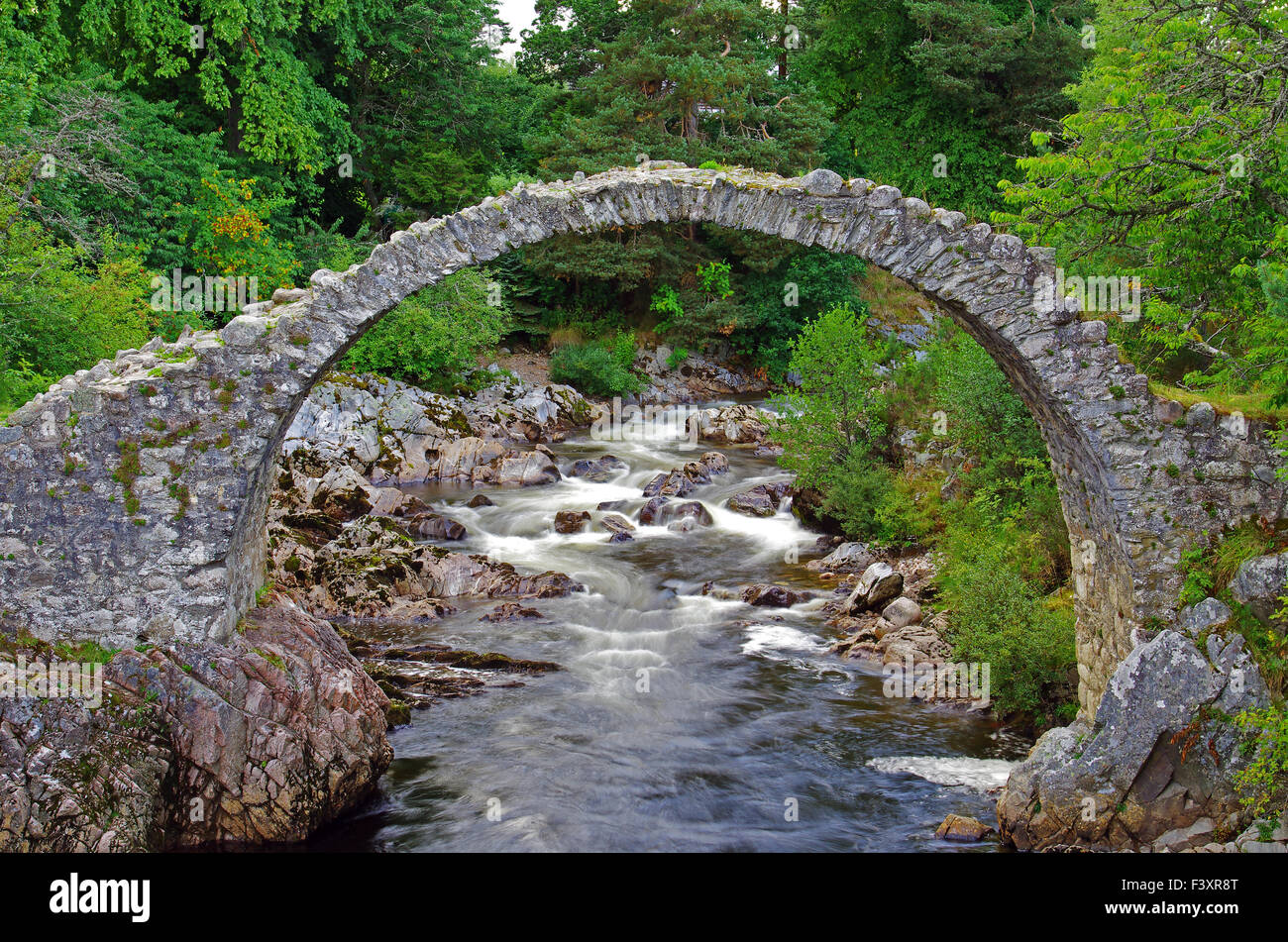 Carrbridge hi-res stock photography and images - Alamy