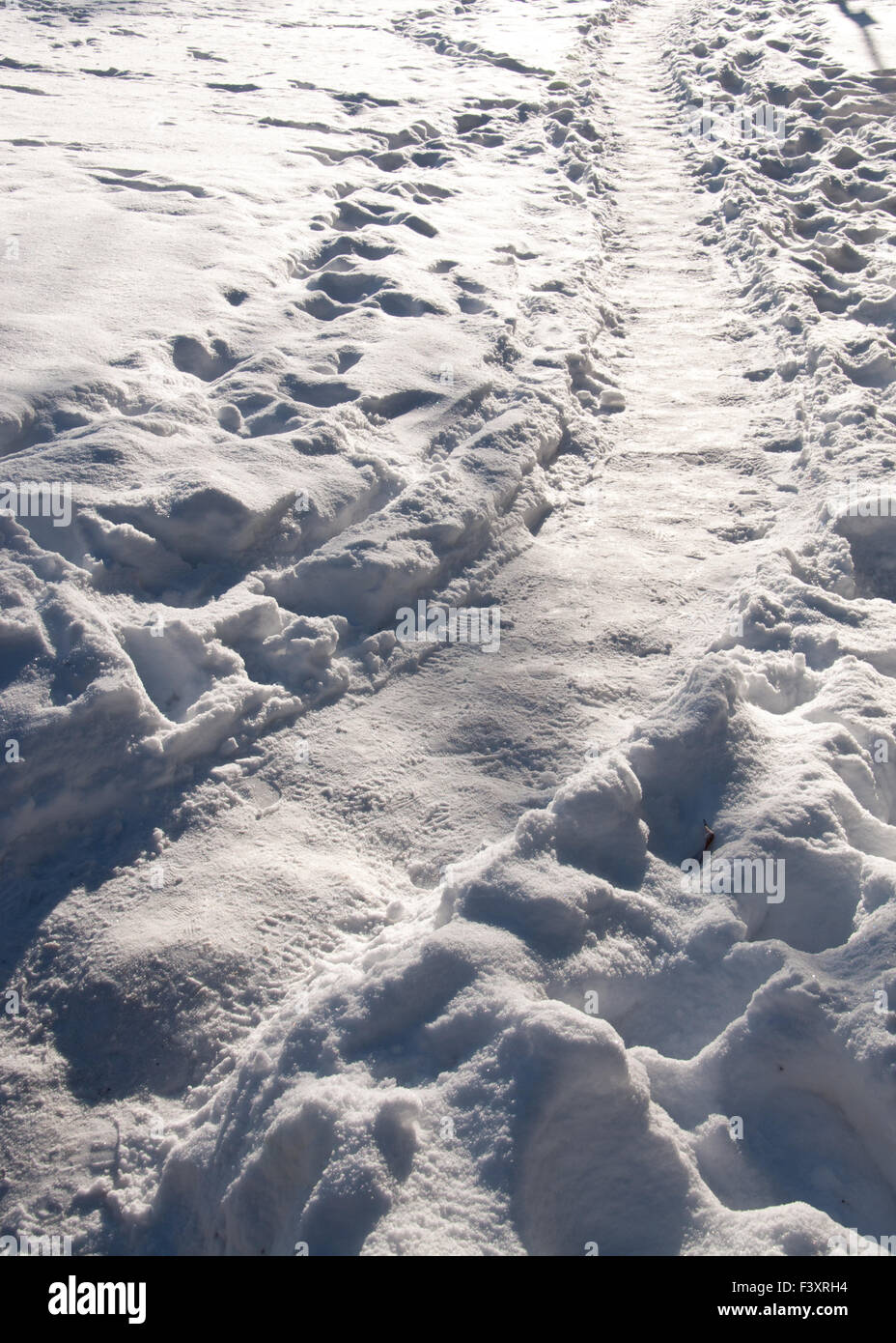 Snowy winter pathway Stock Photo - Alamy