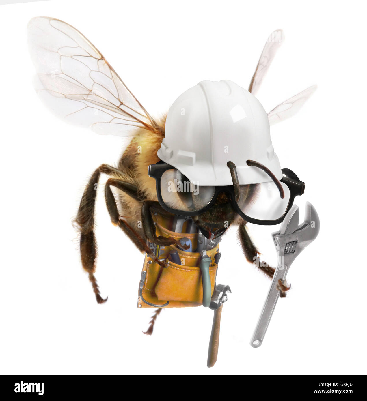 Hardworking bee Cut Out Stock Images & Pictures - Alamy