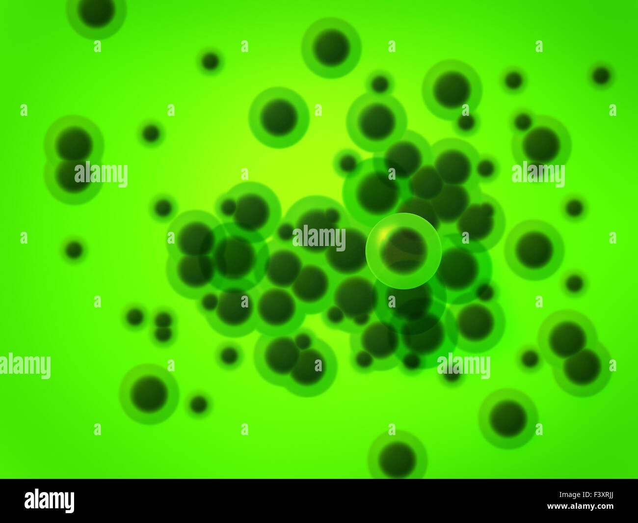 Anatom model hi-res stock photography and images - Alamy