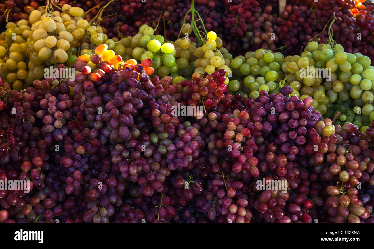 Weintrauben hi-res stock photography and images - Alamy