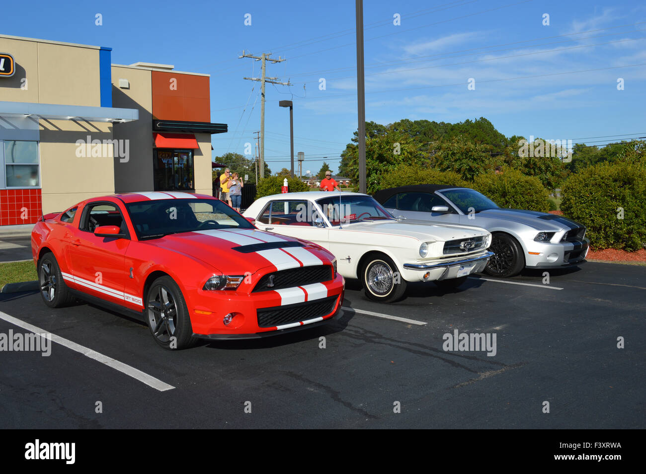 Ford Mustangs at a Car Show Stock Photo - Alamy