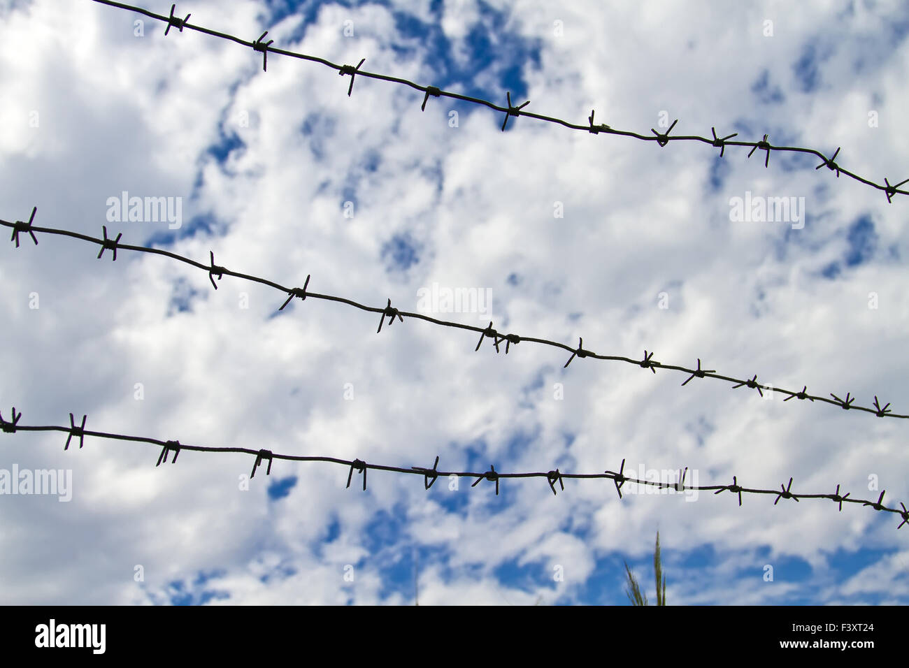 Barb wire fence image hi-res stock photography and images - Alamy