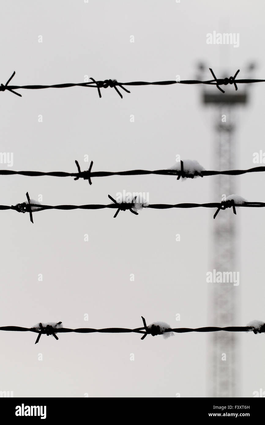 Barbed wire on gray background Stock Photo - Alamy