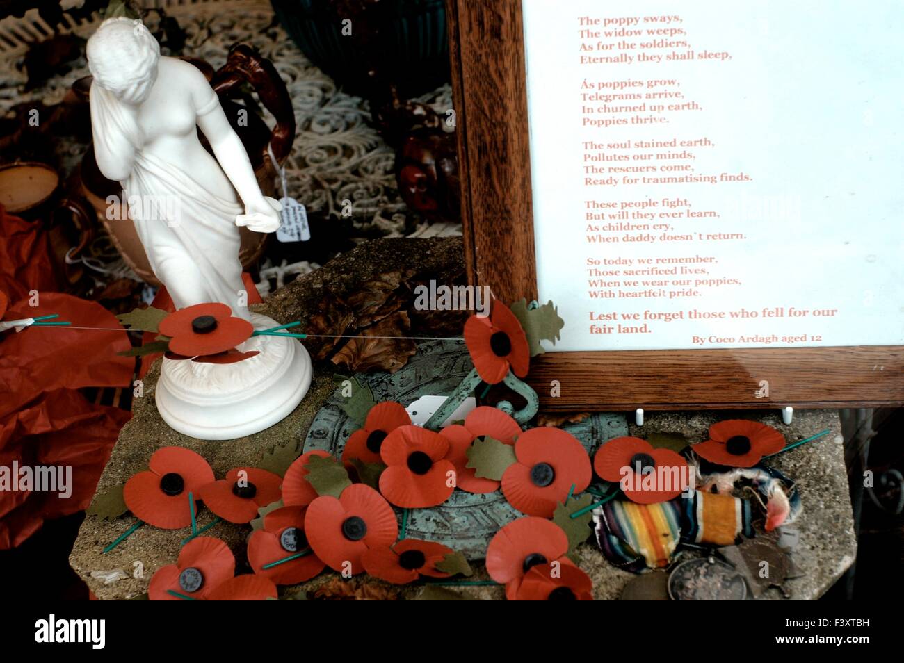 AJAXNETPHOTO. - IN MEMORIUM - SHOP WINDOW DISPLAY WITH RED POPPIES AND ...