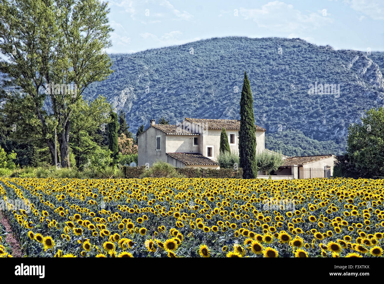 Malerisch pictorial hi-res stock photography and images - Alamy