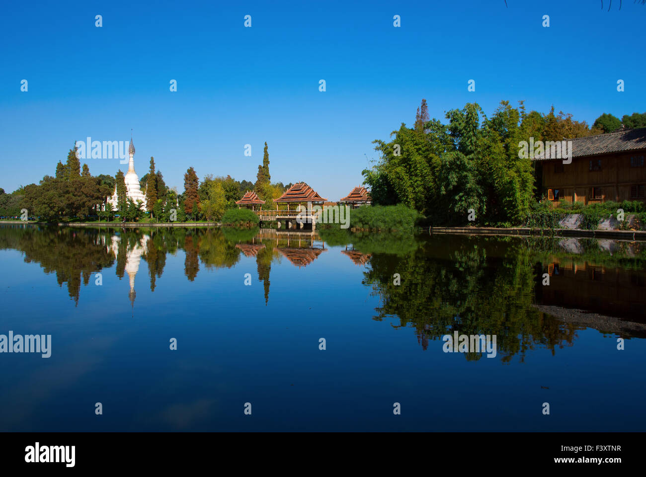 The reflection of forest Stock Photo - Alamy