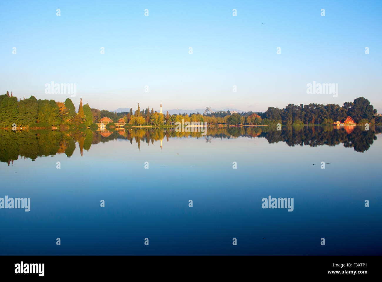 The reflection of forest island Stock Photo - Alamy