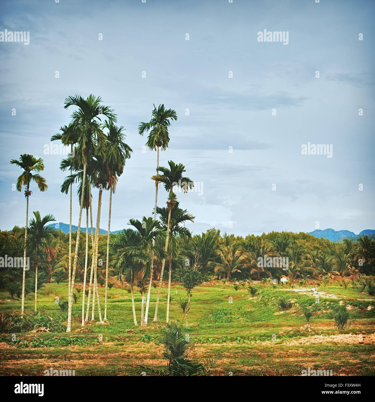 Thai landscape hi-res stock photography and images - Alamy