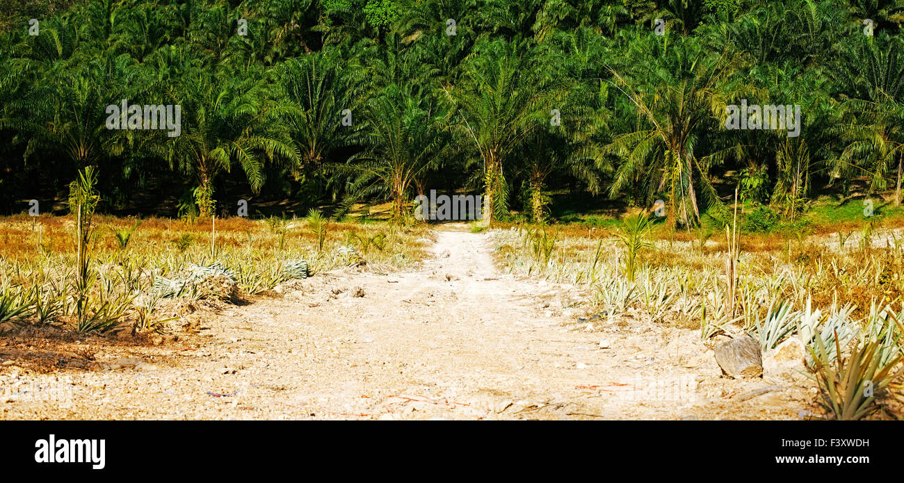 Thai landscape hi-res stock photography and images - Alamy