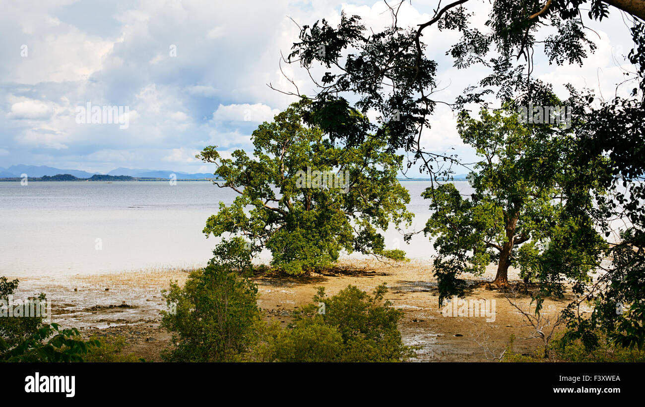 Seabed jungle hi-res stock photography and images - Alamy
