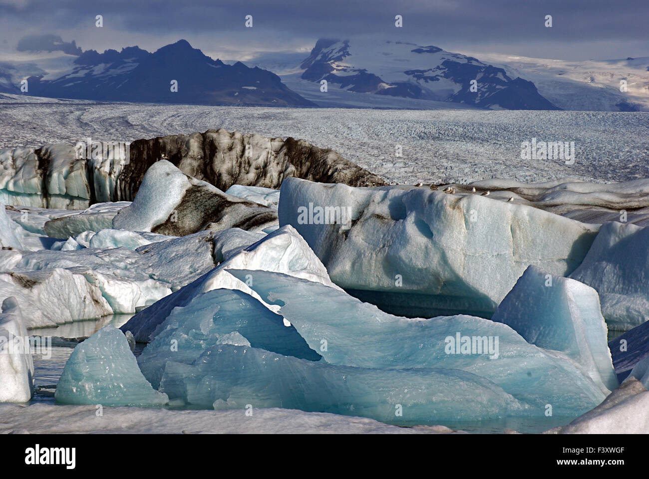 Southern ice cap hi-res stock photography and images - Alamy