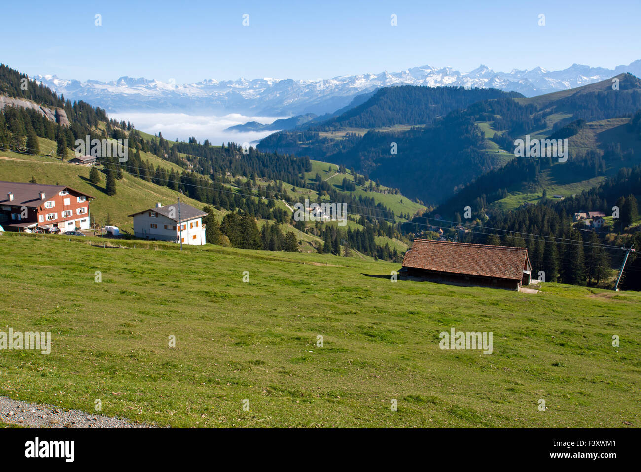 A typical alpine landscape in central Switzerland Stock Photo - Alamy