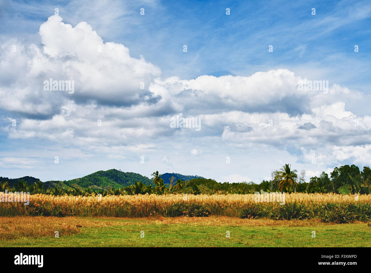 Thai landscape hi-res stock photography and images - Alamy
