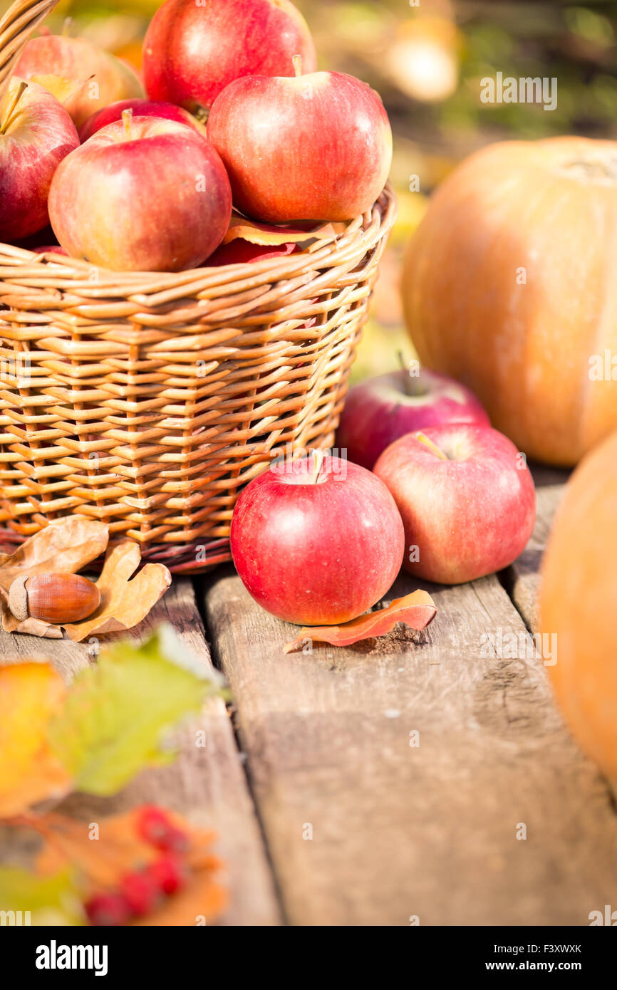 Fruits and vegetables in autumn Stock Photo - Alamy
