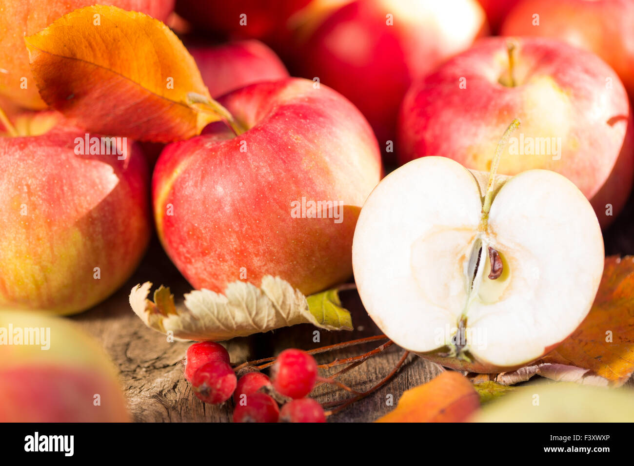 Fruits and vegetables in autumn Stock Photo - Alamy